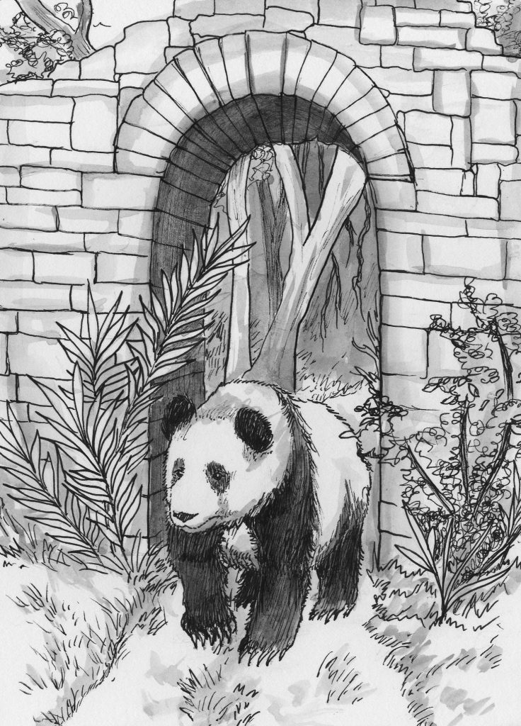 Panda Pen and Ink Drawing- 5x7 (Matted to fit 8x10 frame) - Kristy ...