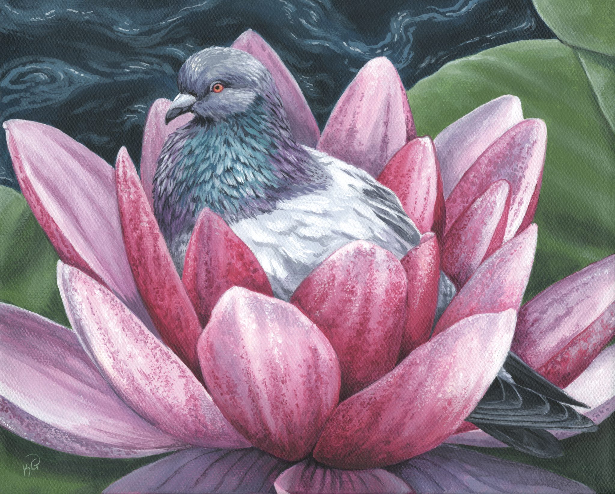 Peace Pigeon Art Print 8"x10" - Kristy Guenther Art